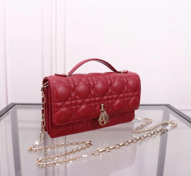 Official Christian Dior Other Bags