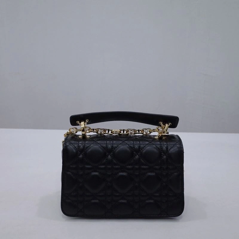 Precise copy Christian Dior Other Bags
