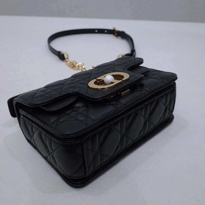Precise copy Christian Dior Other Bags
