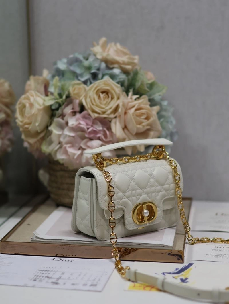 Accurate model Christian Dior Other Bags