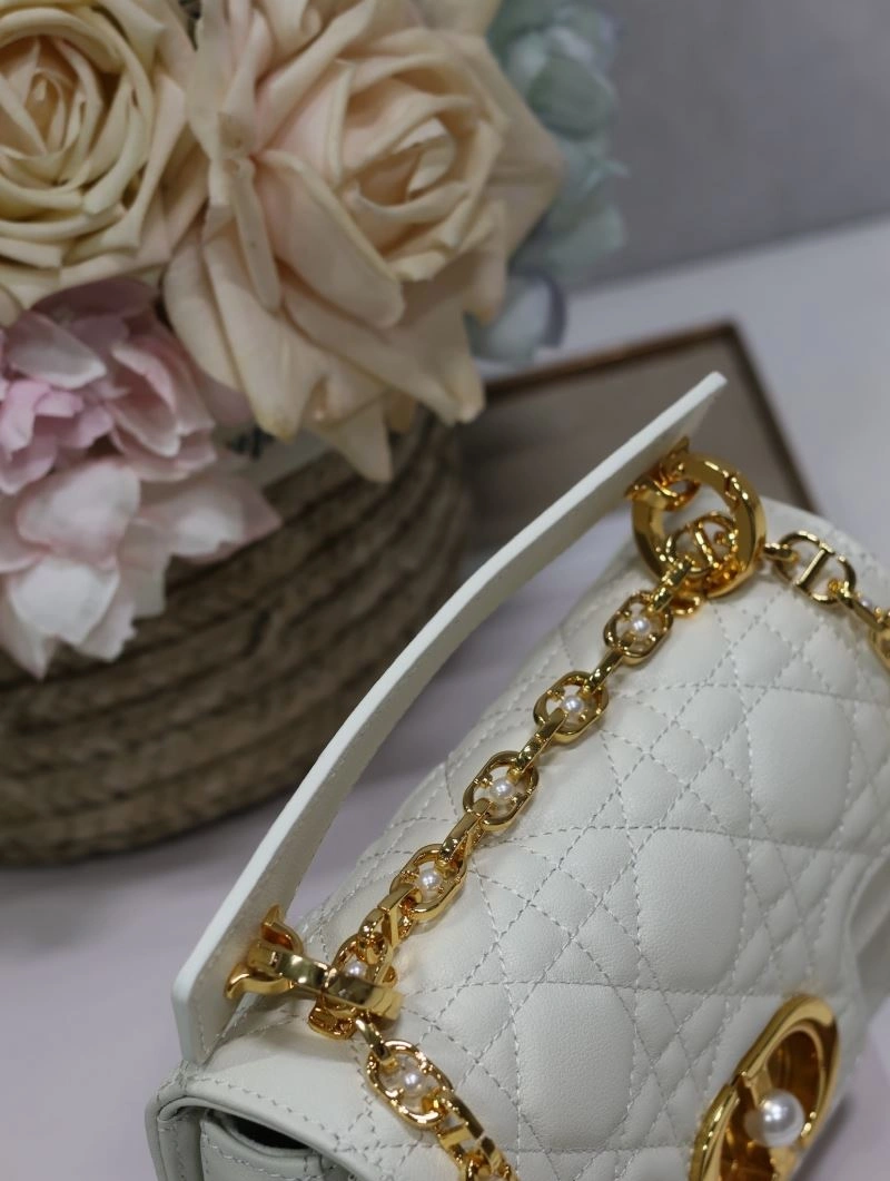 Accurate model Christian Dior Other Bags