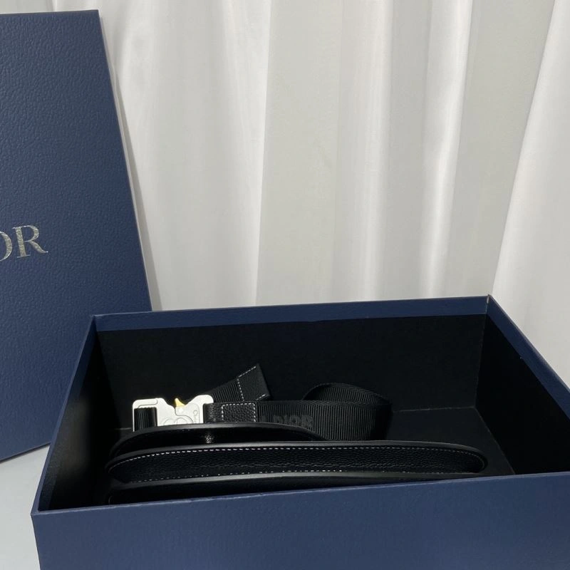 Accurate model Christian Dior Other Bags