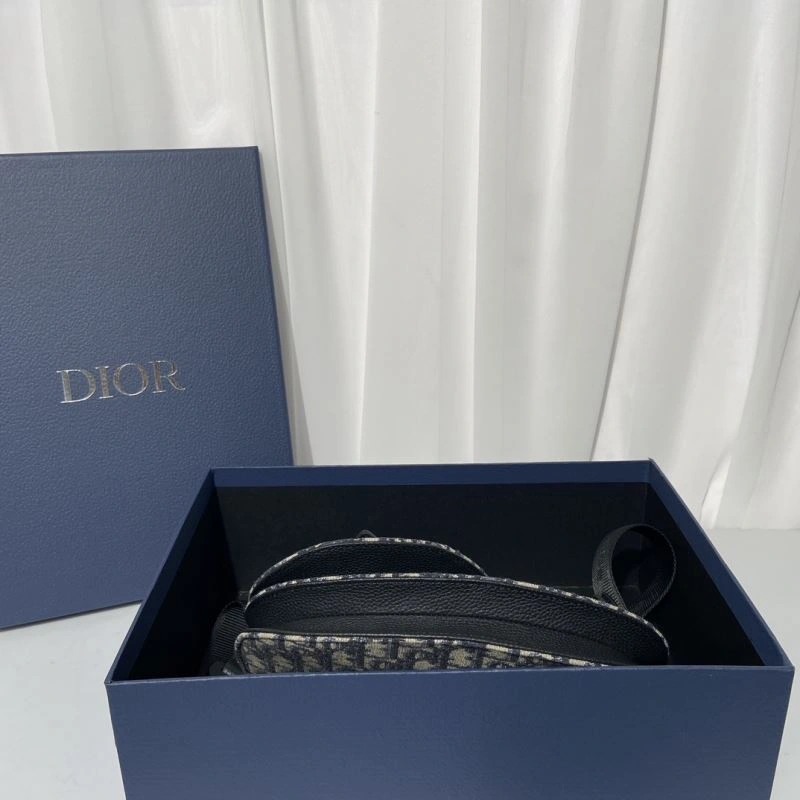 Precise copy Christian Dior Other Bags