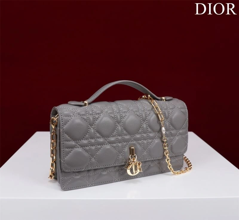 Accurate model Christian Dior Other Bags