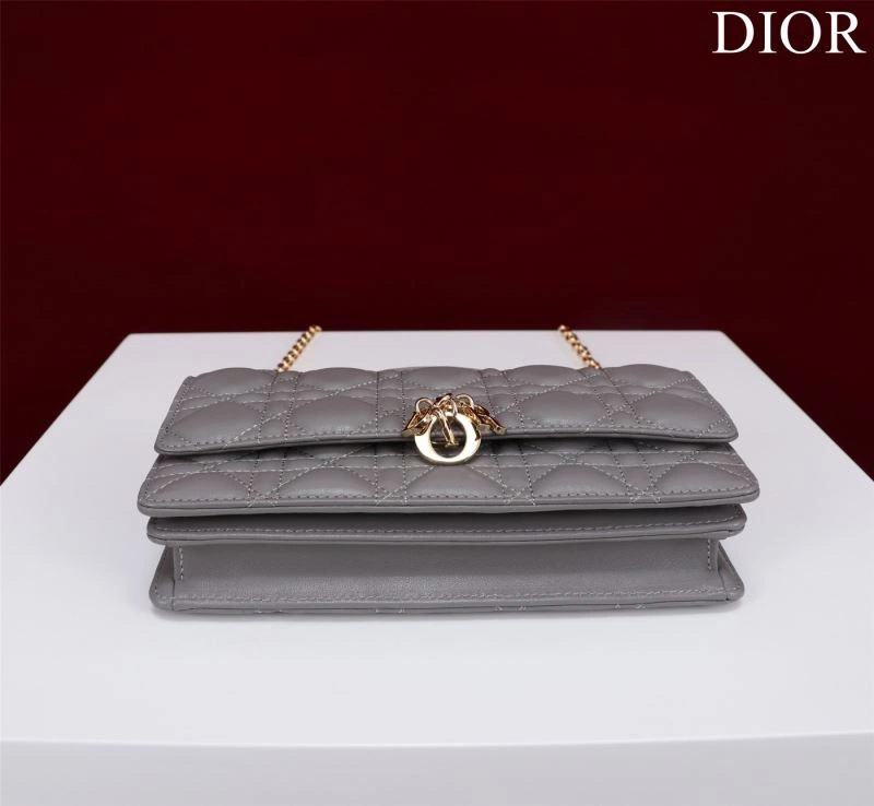 Accurate model Christian Dior Other Bags