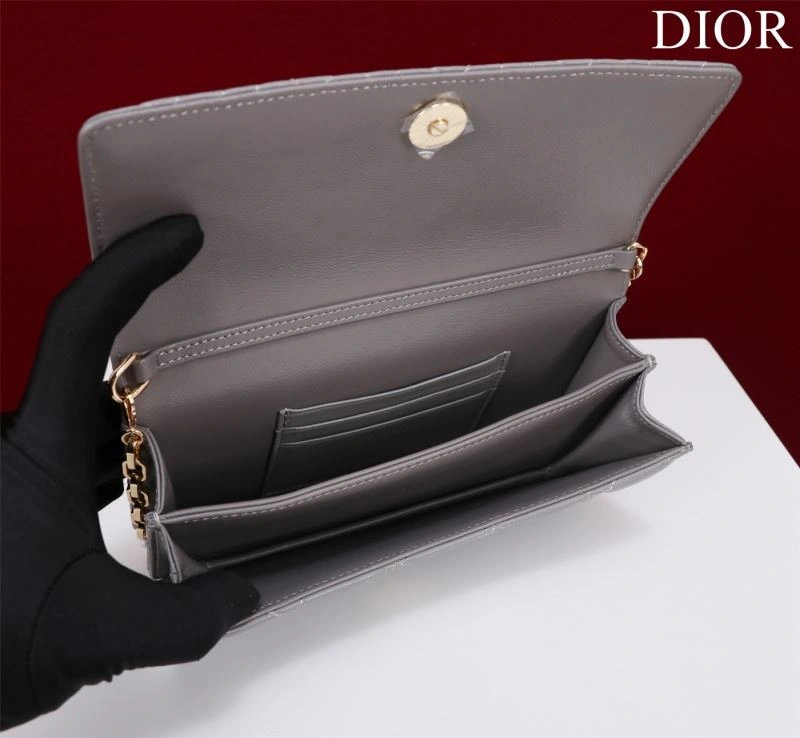 Accurate model Christian Dior Other Bags