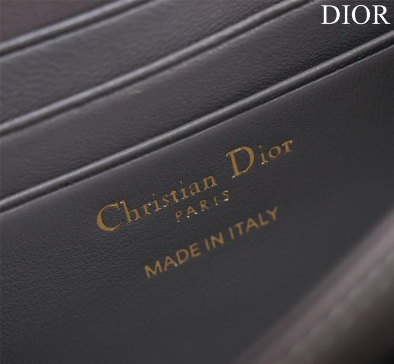 Accurate model Christian Dior Other Bags