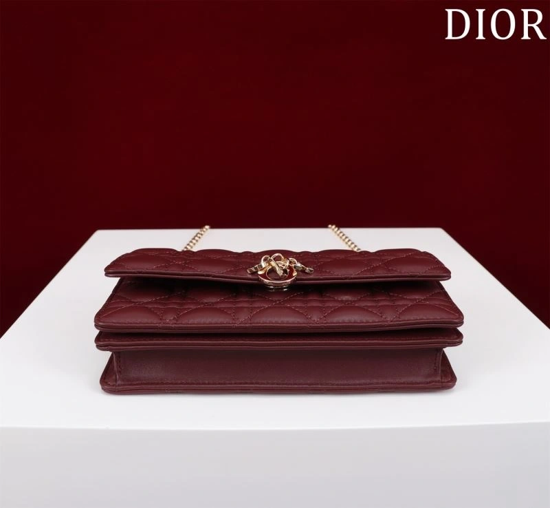 Precise copy Christian Dior Other Bags