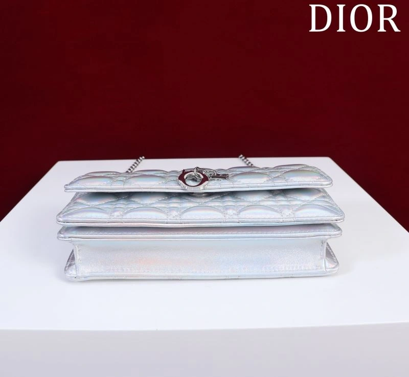 Indistinguishable Christian Dior Other Bags