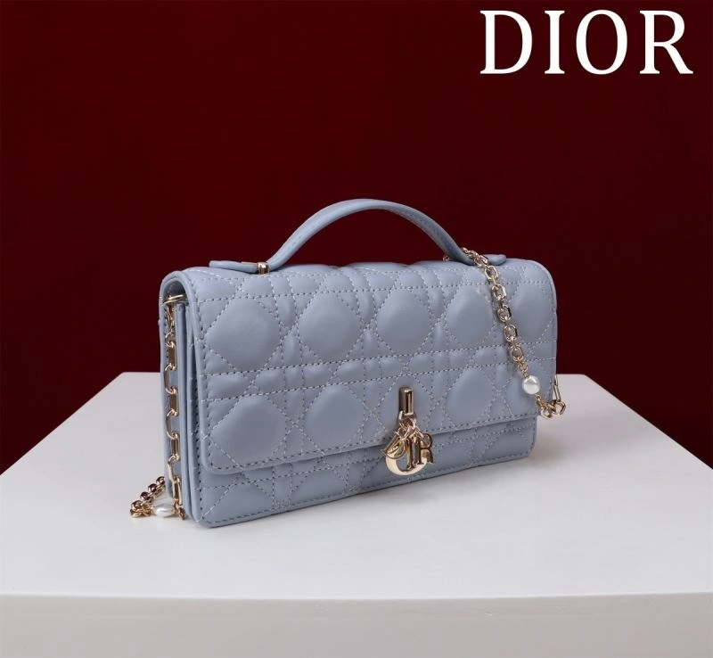 Accurate model Christian Dior Other Bags