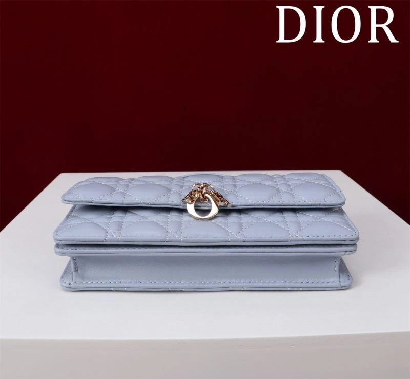 Accurate model Christian Dior Other Bags