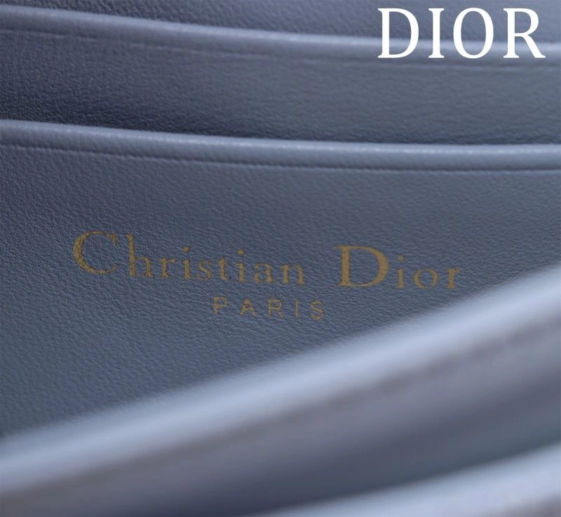 Accurate model Christian Dior Other Bags