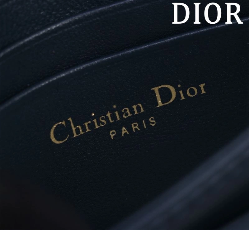 Precise copy Christian Dior Other Bags