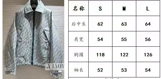 Mirror quality Christian Dior Outwear