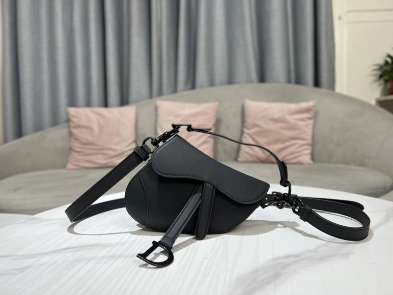 High accuracy Christian Dior Saddle Bags