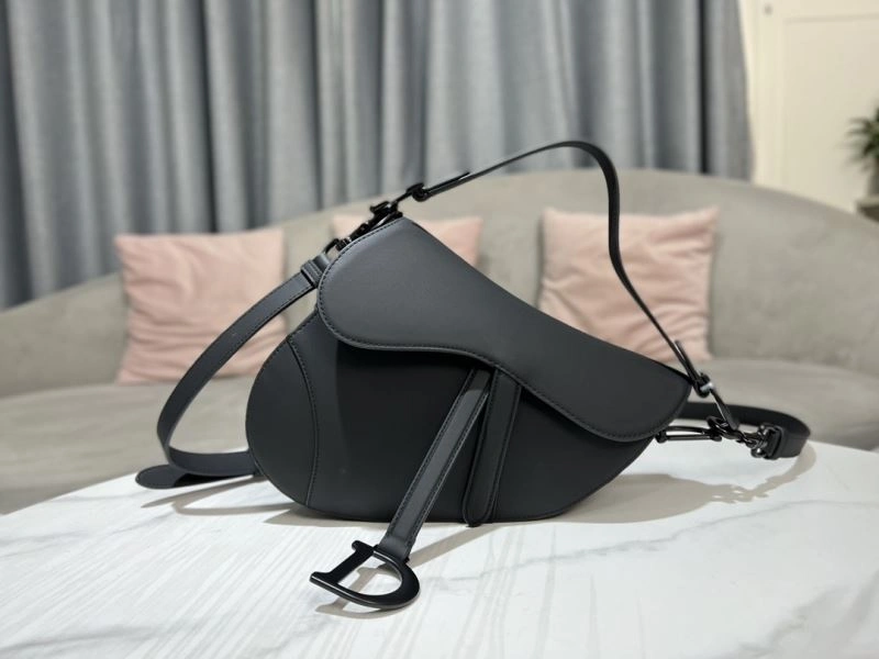 Top mirror Christian Dior Saddle Bags