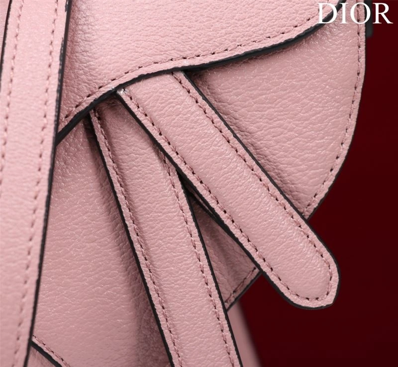 High accuracy Christian Dior Saddle Bags