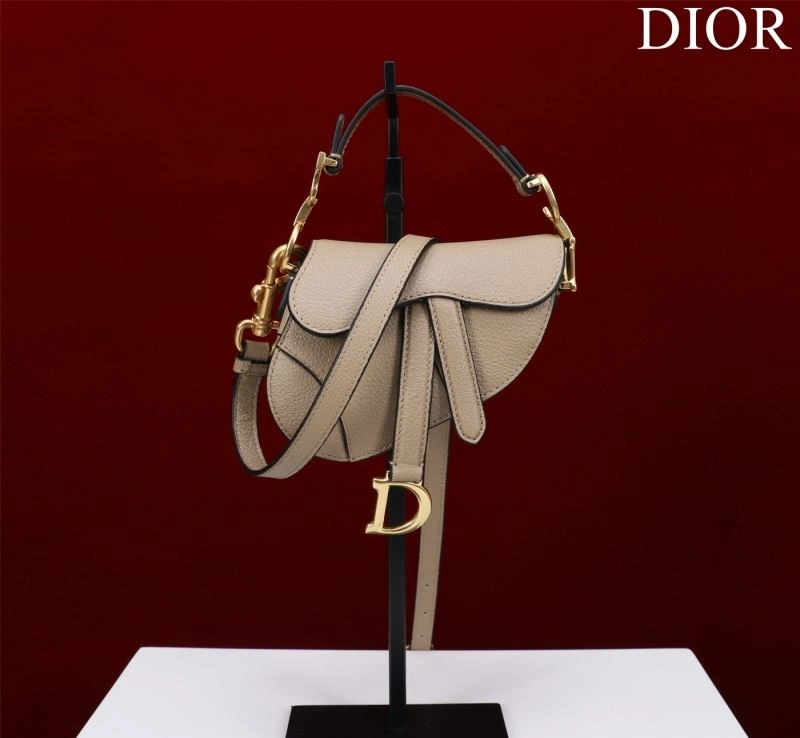 Christian Dior Saddle Bags