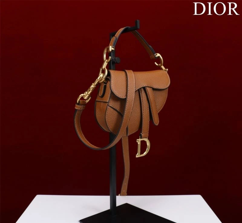 Accurate model Christian Dior Saddle Bags