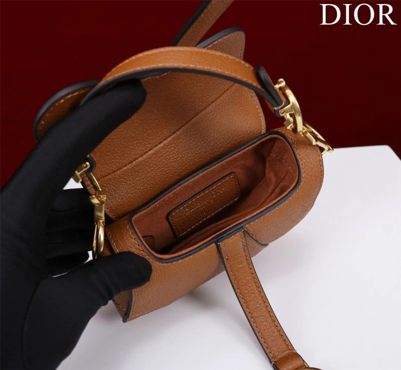 Accurate model Christian Dior Saddle Bags