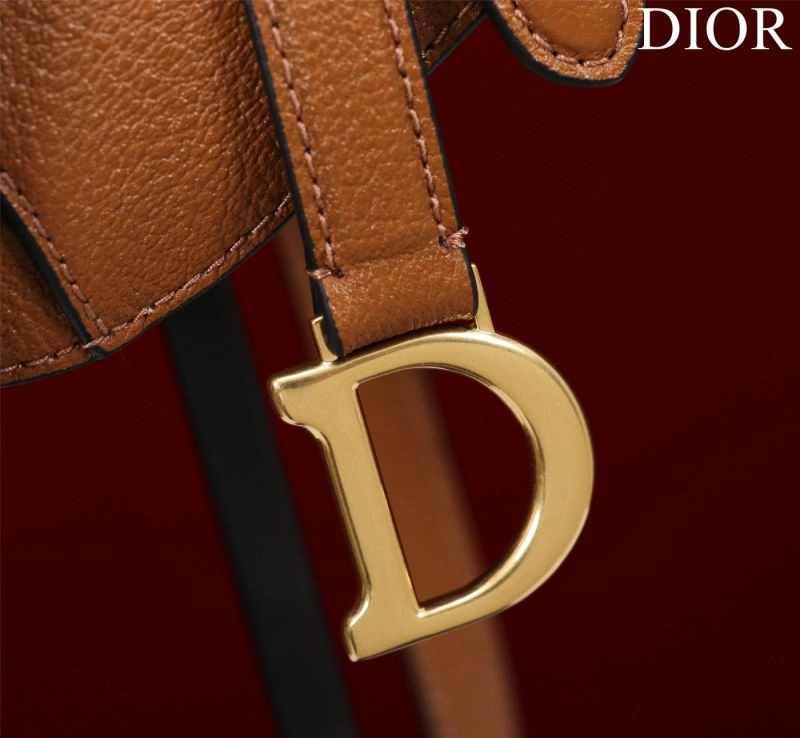 Accurate model Christian Dior Saddle Bags