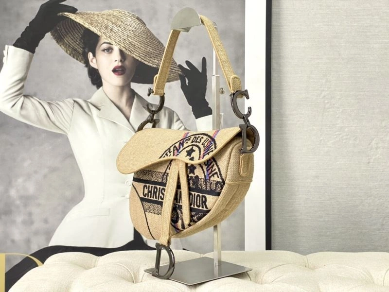 Mirror quality Christian Dior Saddle Bags