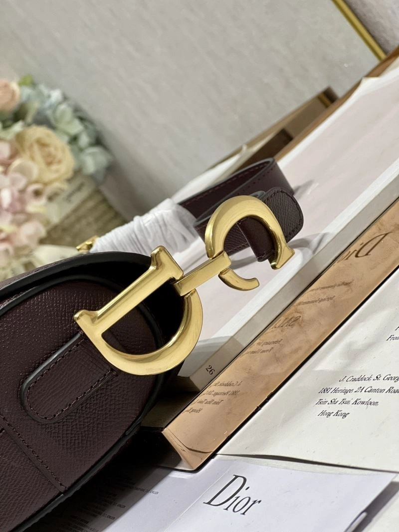 Top match Christian Dior Saddle Bags