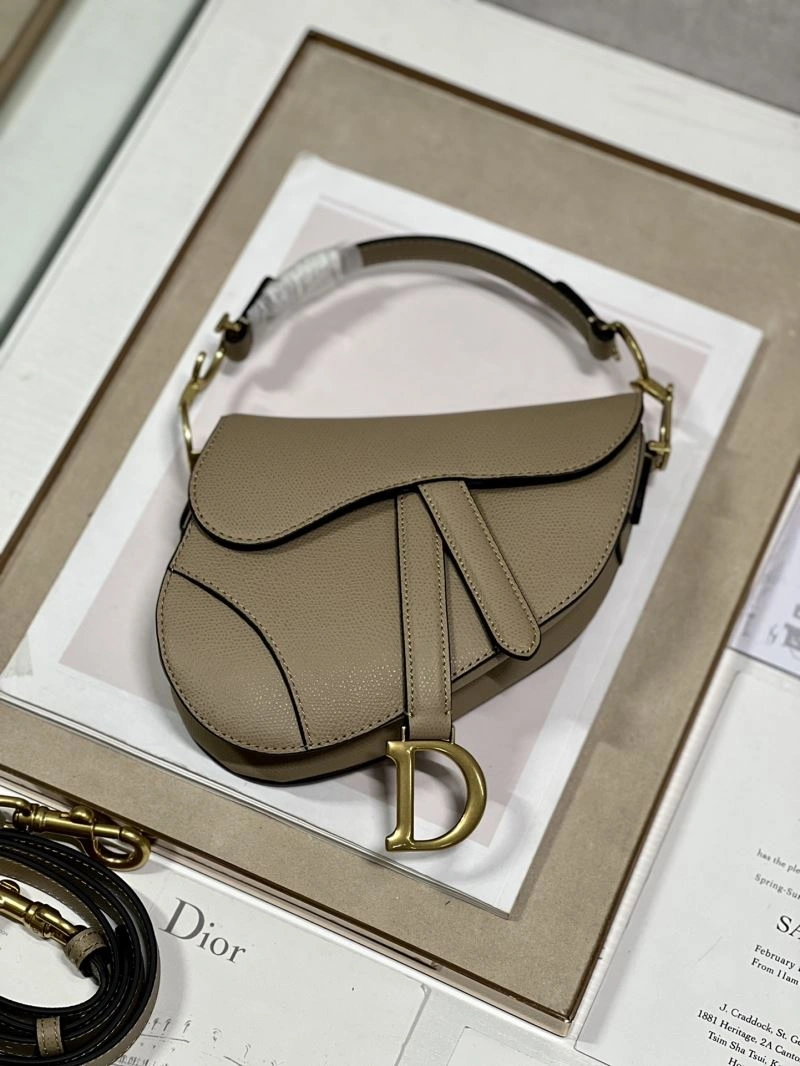 Accurate model Christian Dior Saddle Bags
