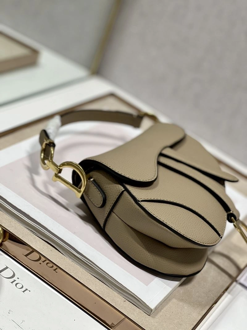 Accurate model Christian Dior Saddle Bags