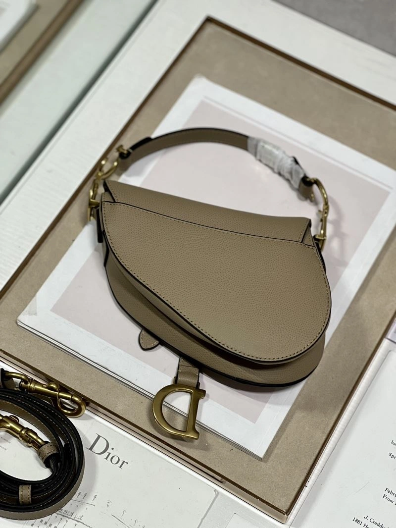 Accurate model Christian Dior Saddle Bags