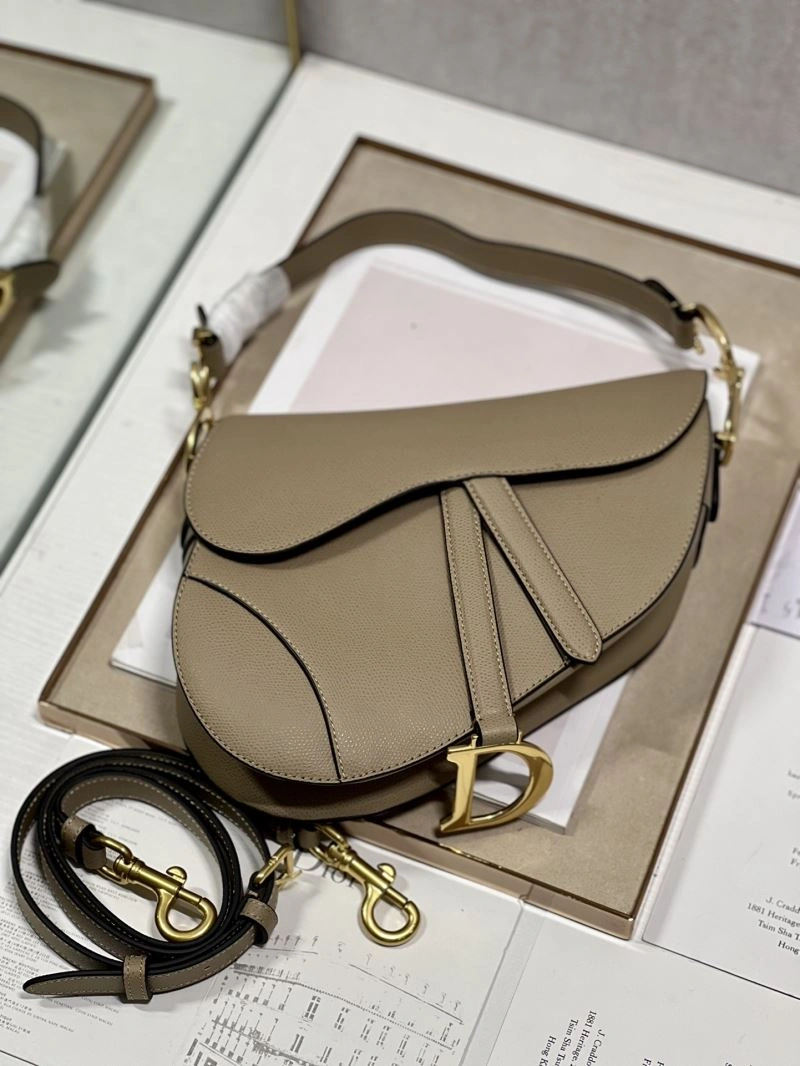 Accurate model Christian Dior Saddle Bags