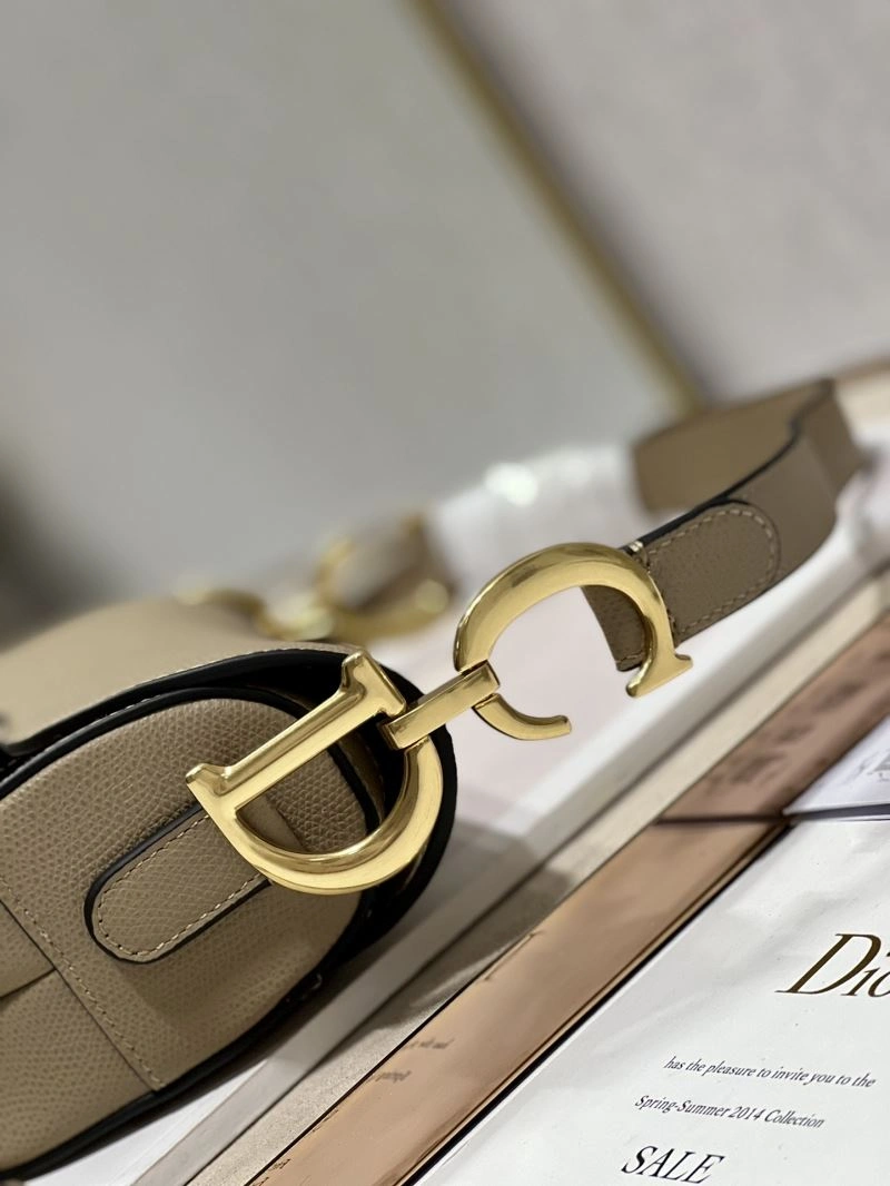 Accurate model Christian Dior Saddle Bags