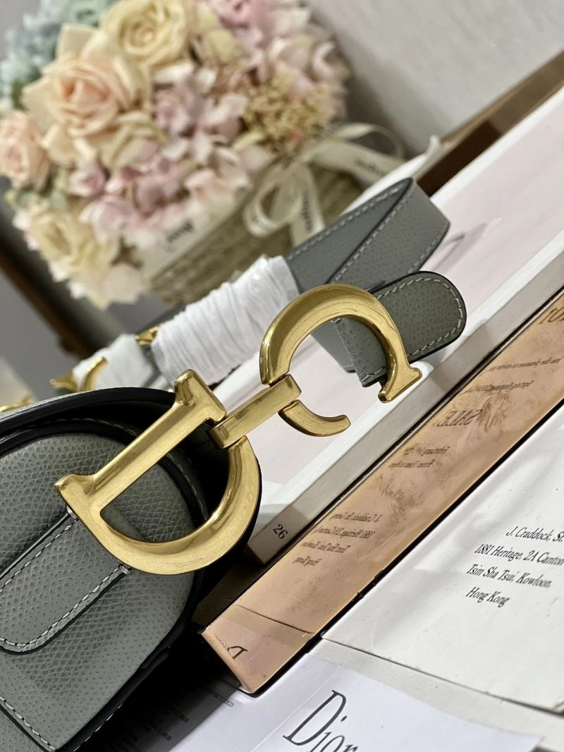 Legit Christian Dior Saddle Bags