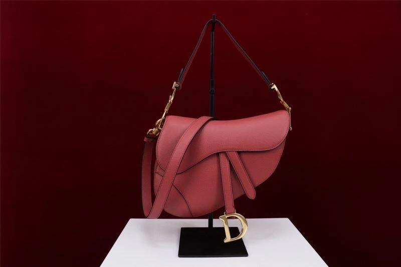 Budget-friendly Christian Dior Saddle Bags