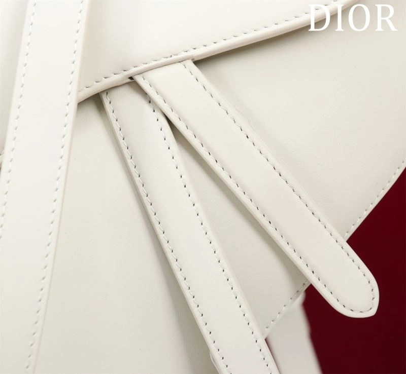 Precise copy Christian Dior Saddle Bags