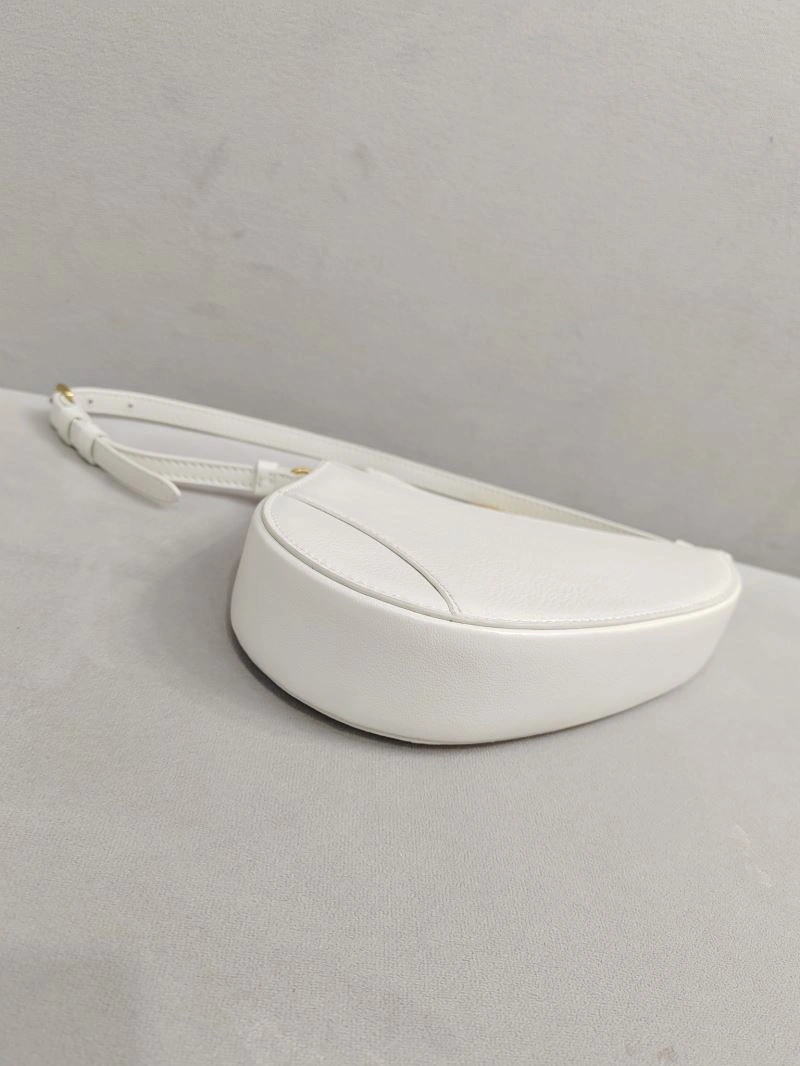 Accurate model Christian Dior Saddle Bags