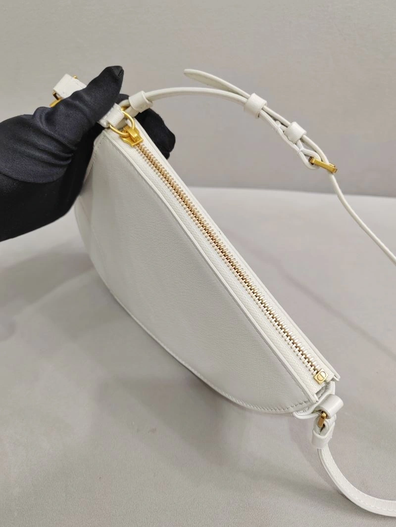 Accurate model Christian Dior Saddle Bags