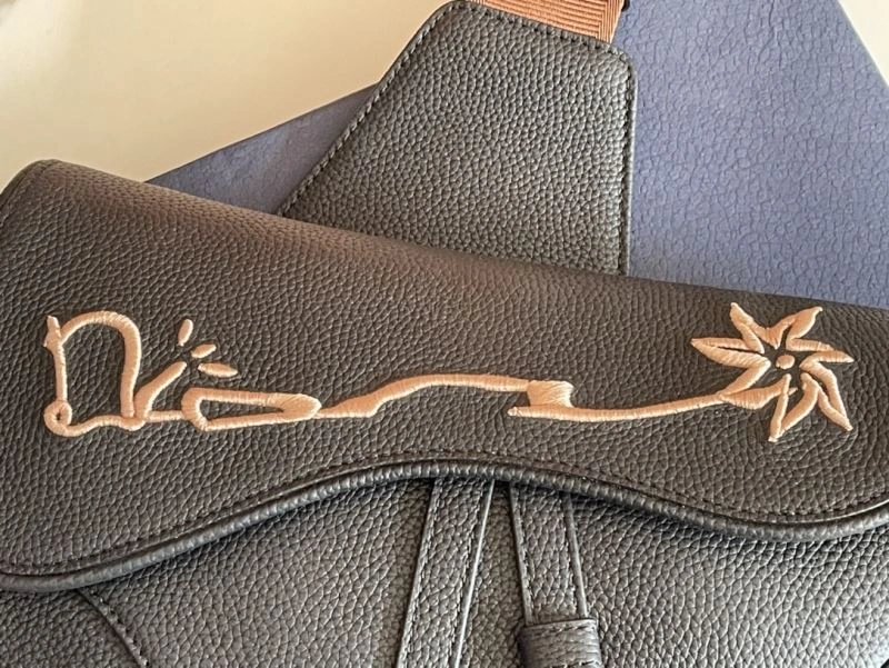 High accuracy Christian Dior Saddle Bags
