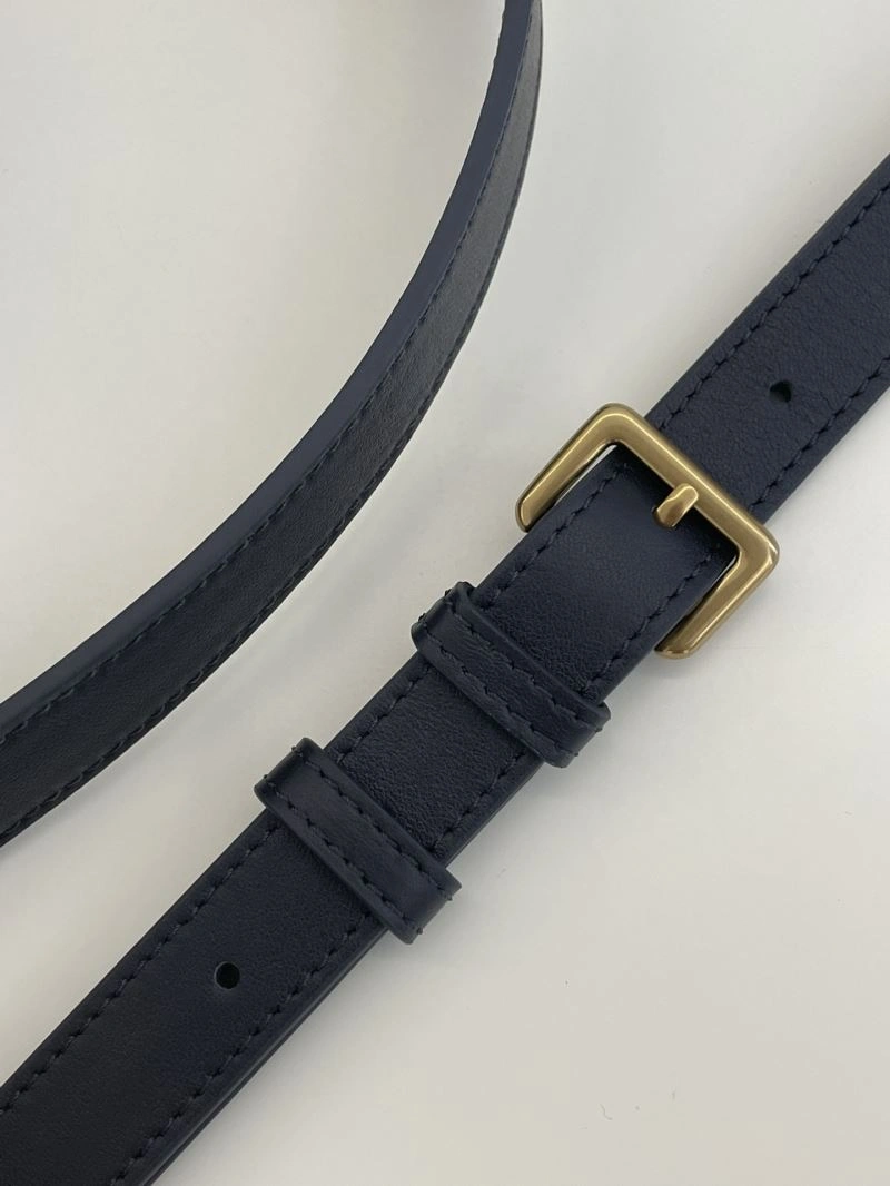 High accuracy Christian Dior Saddle Bags