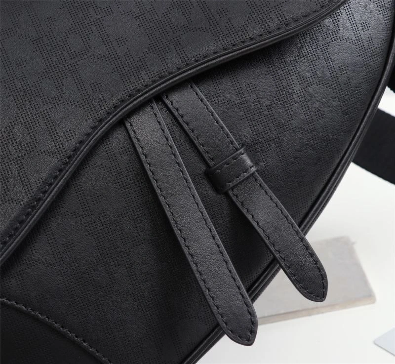Top match Christian Dior Saddle Bags