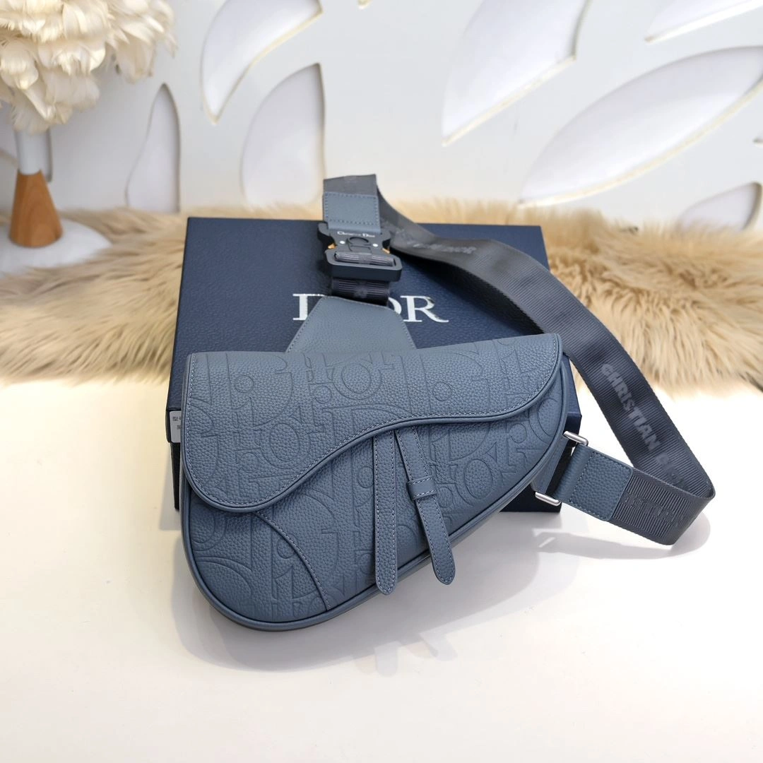 Christian Dior Saddle bags