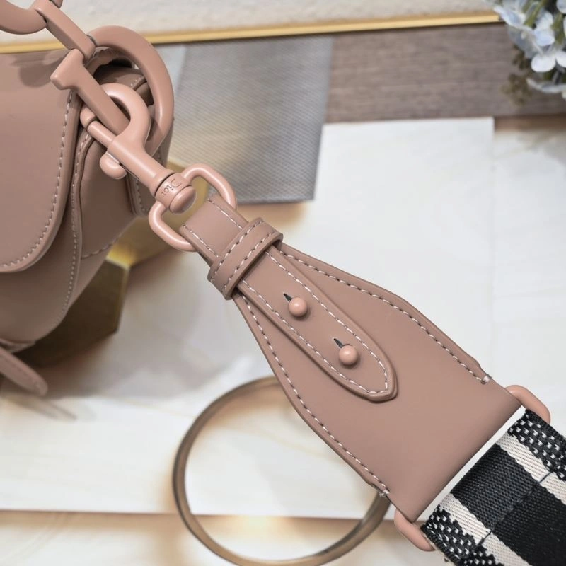 Accurate model Christian Dior Saddle bags
