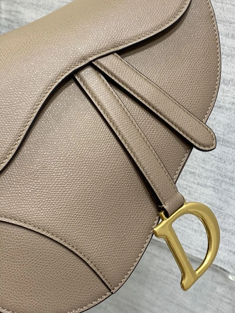 Accurate model Christian Dior Saddle bags