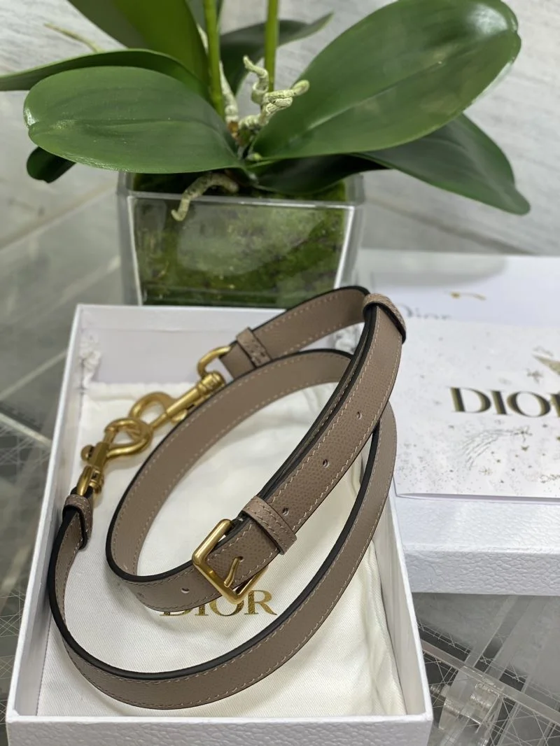 Accurate model Christian Dior Saddle bags