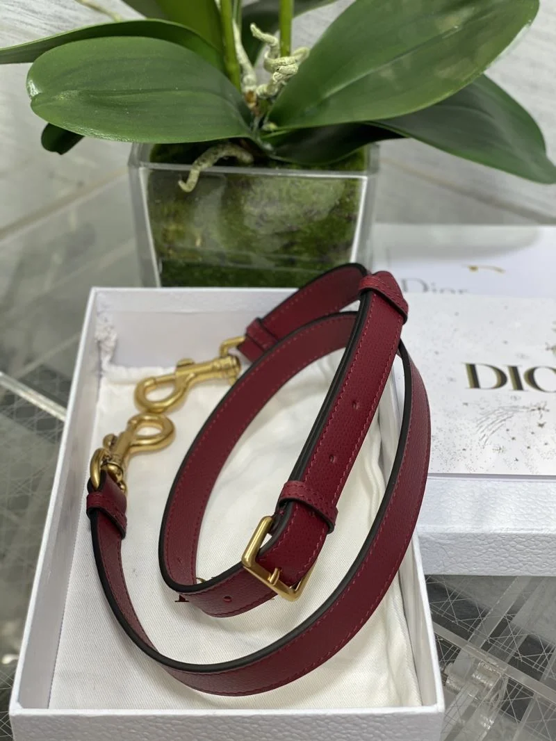 Precise copy Christian Dior Saddle bags