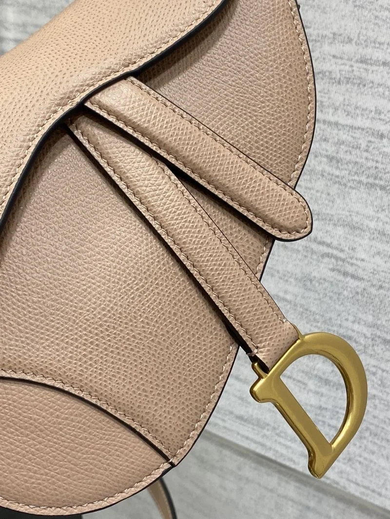 Top mirror Christian Dior Saddle bags