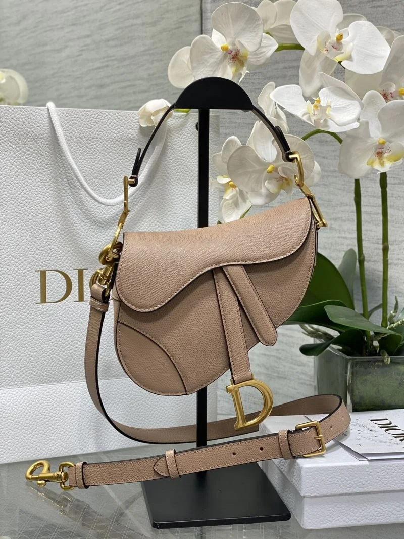 Top mirror Christian Dior Saddle bags