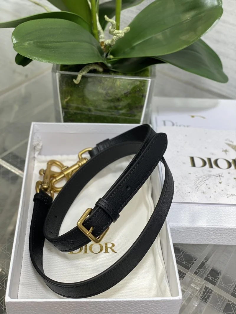 OEM Christian Dior Saddle bags