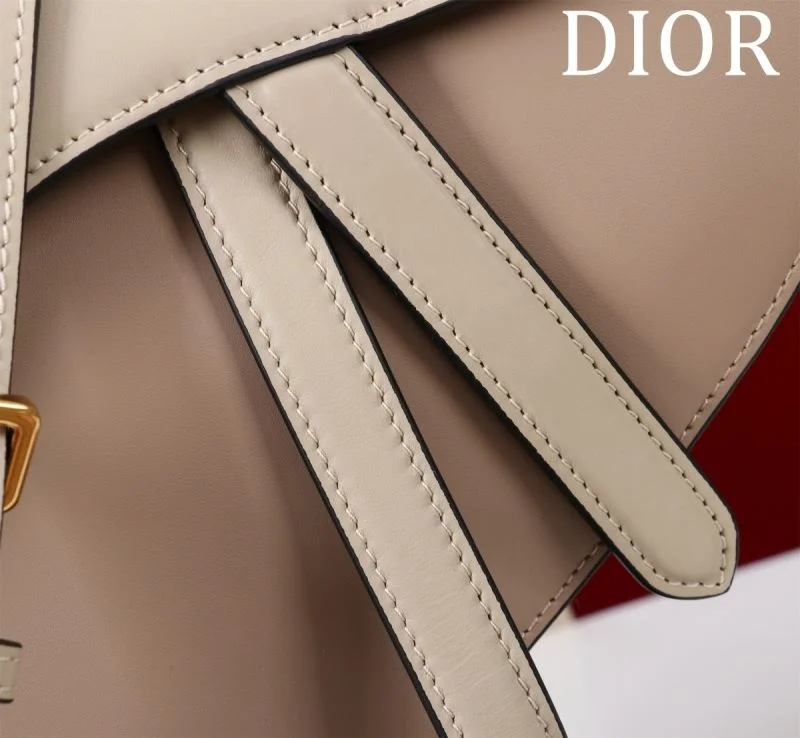 OEM Christian Dior Saddle bags