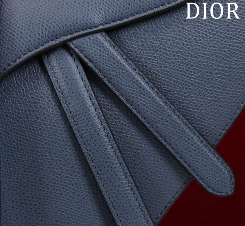 Cut-rate Christian Dior Saddle bags